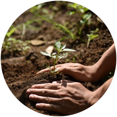 Canon imageRUNNER Advance DX C3922i Colour Multifunctional • CPC ...